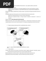 MoCA Test Polish | PDF