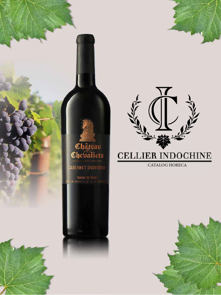 Catalog Horeca April 2025 Ok | PDF | Wine | Grape