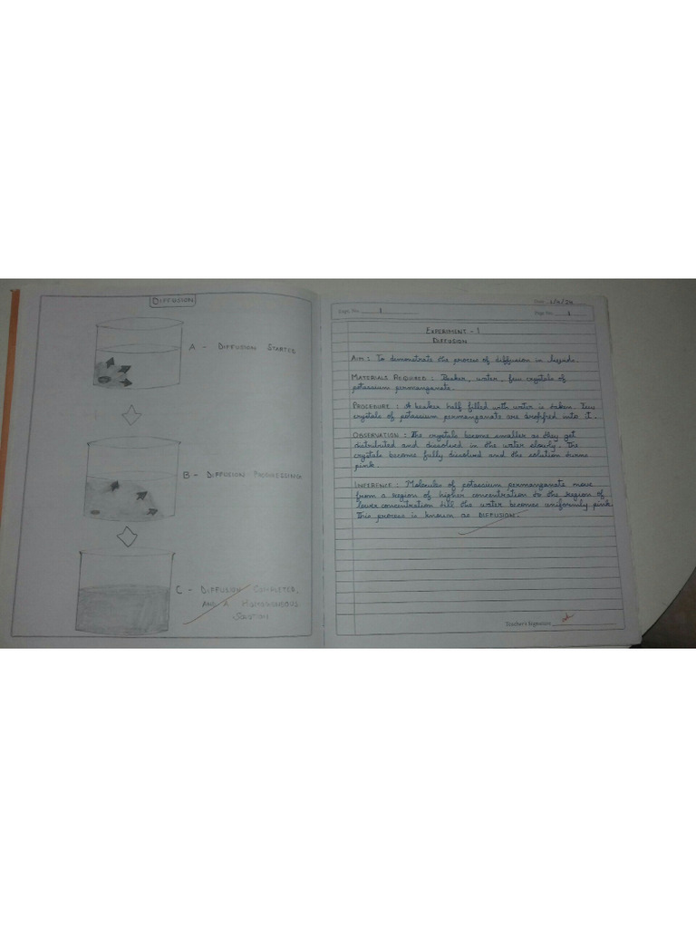 Experiments 1 5 | PDF