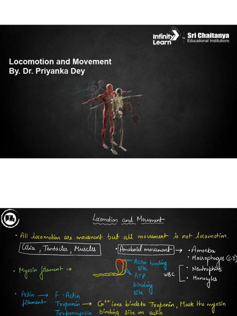 Locomotion & Movement | PDF