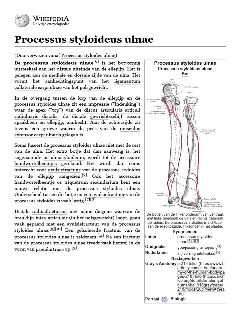 Processus Styloideus Ulnae - Wikipedia | PDF