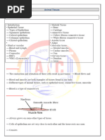 Overview of Animal Tissue Types | PDF | Epithelium | Muscle