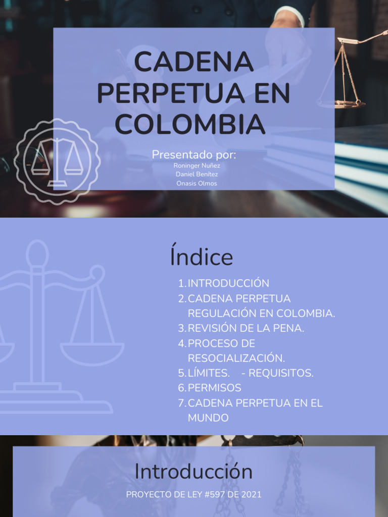 Presentación Cadena Perpetua 20250509 090008 0000 | PDF | Cadena ...