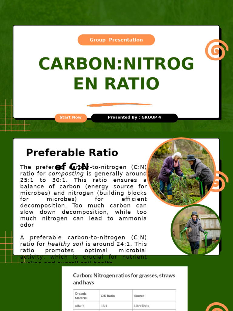 Group Presentation | PDF