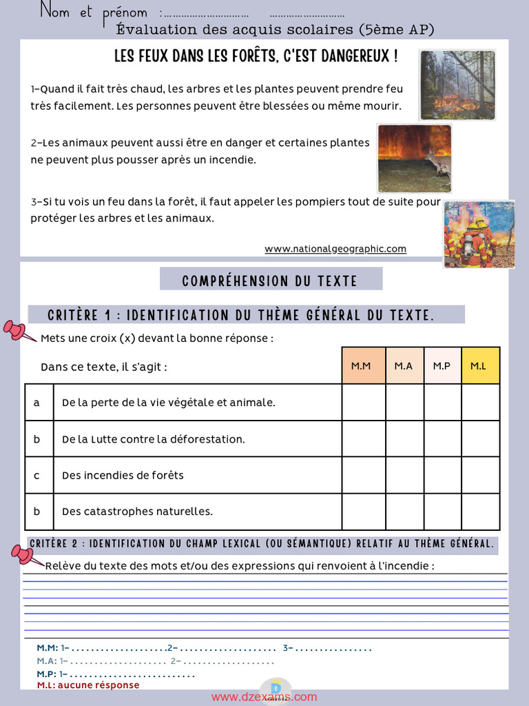 Incendies de forêts : dangers et conseils | PDF