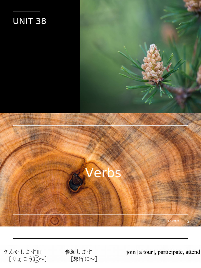 Solving Encuentro Verbs in Unit 38 | PDF