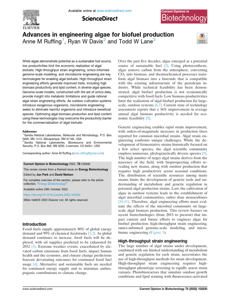 Advances in Engineering Algae For Biofuel Production | PDF | Algae Fuel | Crispr