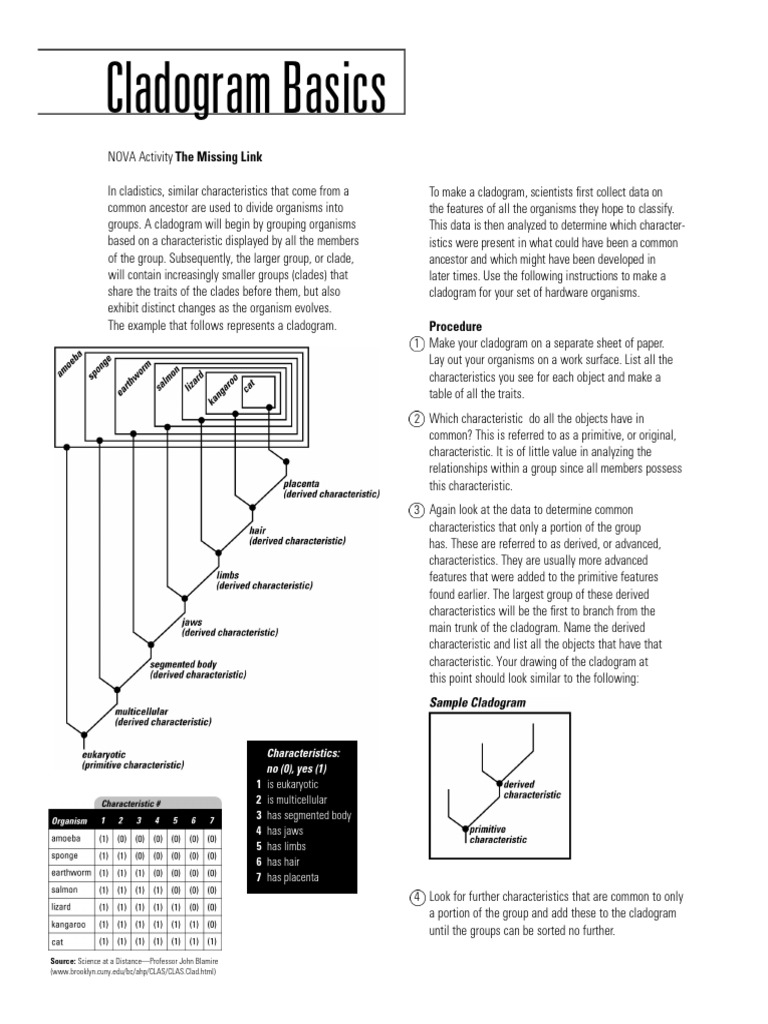 Missing Link 3 | PDF | Biological Classification | Evolutionary Biology