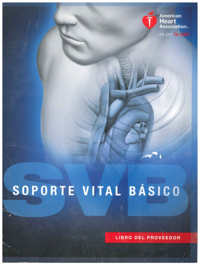 SVB Libro | PDF