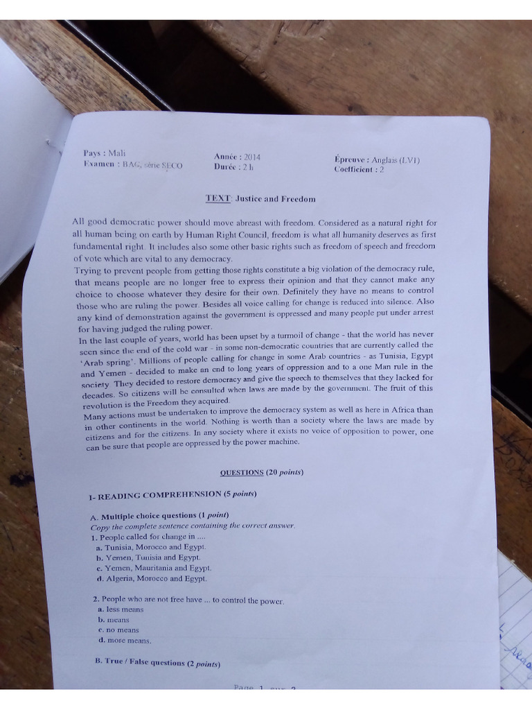 Sujets D'anglais Bac | PDF