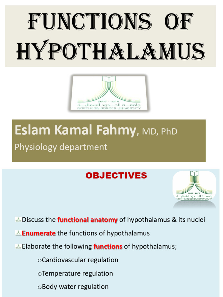 Functions of Hypothalamus | PDF | Hypothalamus | Circadian Rhythm