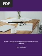 4Ps of Biopsychosocial Model | PDF | Mental Disorder | Psychological Trauma