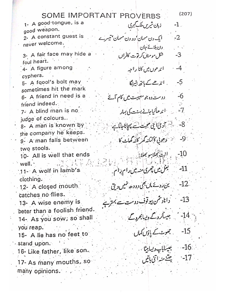 English Idioms Translation 2 | PDF