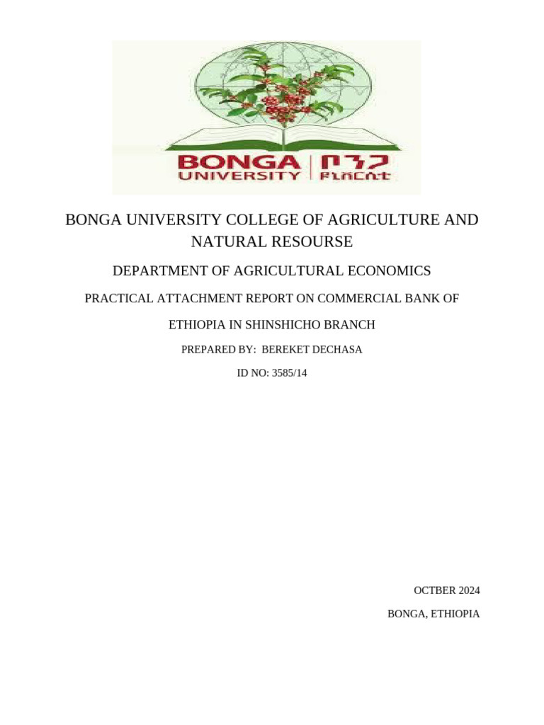 Beki Practical Attachment-1 | PDF | Banks | Employment