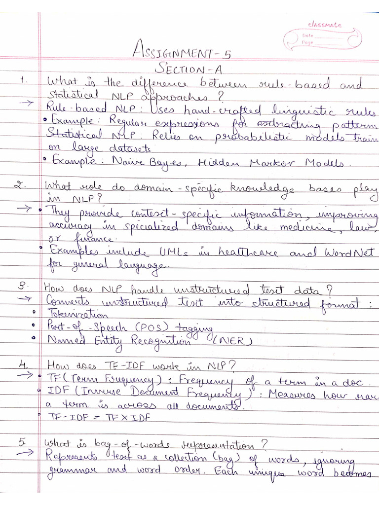 NLP Assignment 5 | PDF