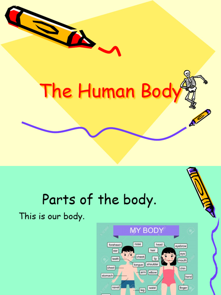 G1 Science Week 6 - Parts of Body | PDF