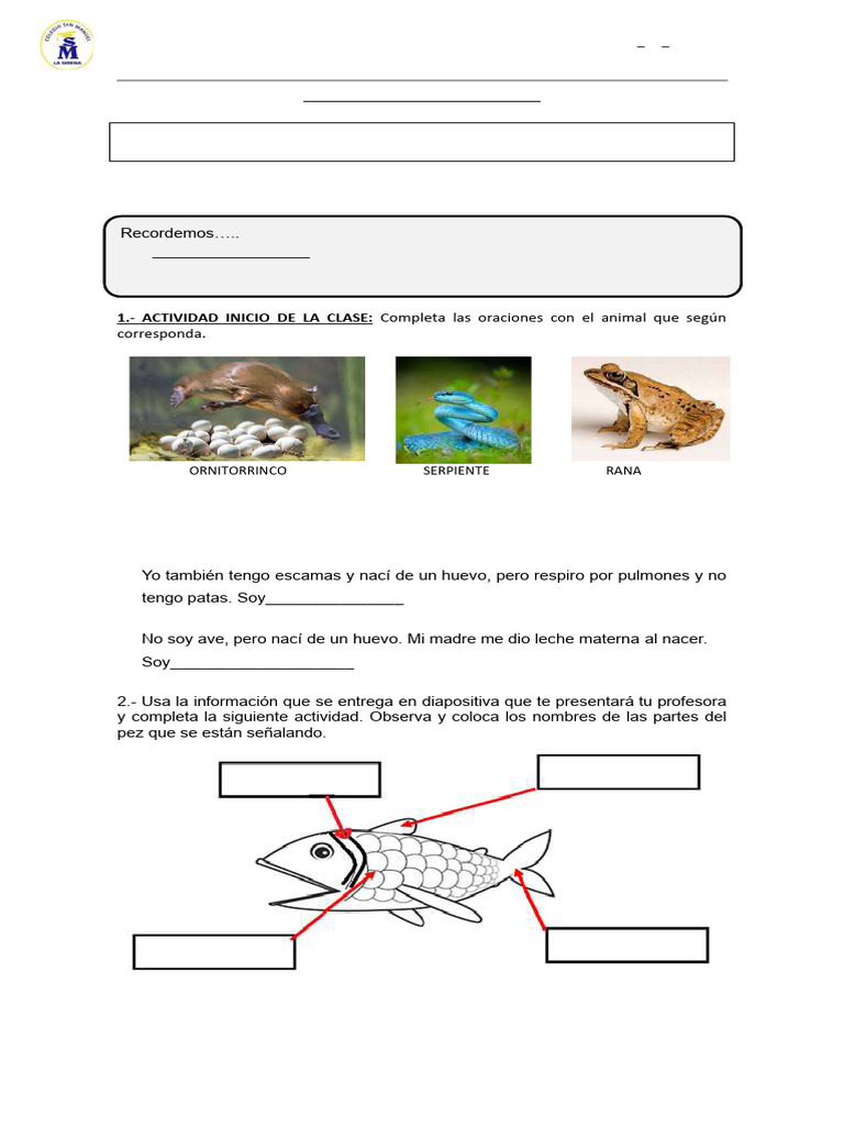 Guía Clase 2 Ciencias Mayo | PDF | Pescado | Branquia