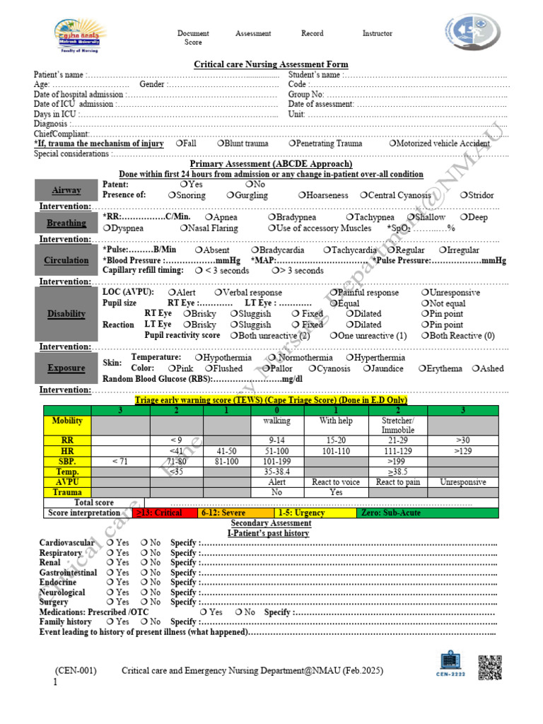 Assessment and Record - 110425 | PDF | Intensive Care Unit | Intensive ...