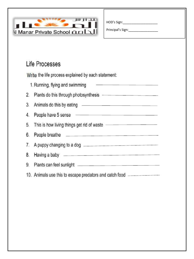 Gr6 Unit 4 WS 2 | PDF