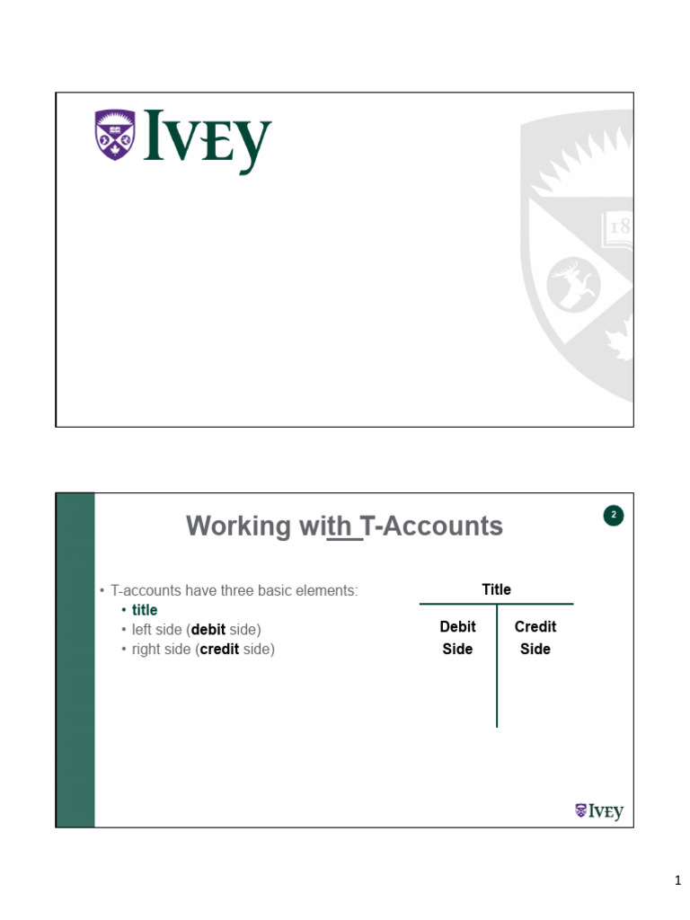 Introduction+to+the+T-Account | PDF | Debits And Credits | Equity (Finance)