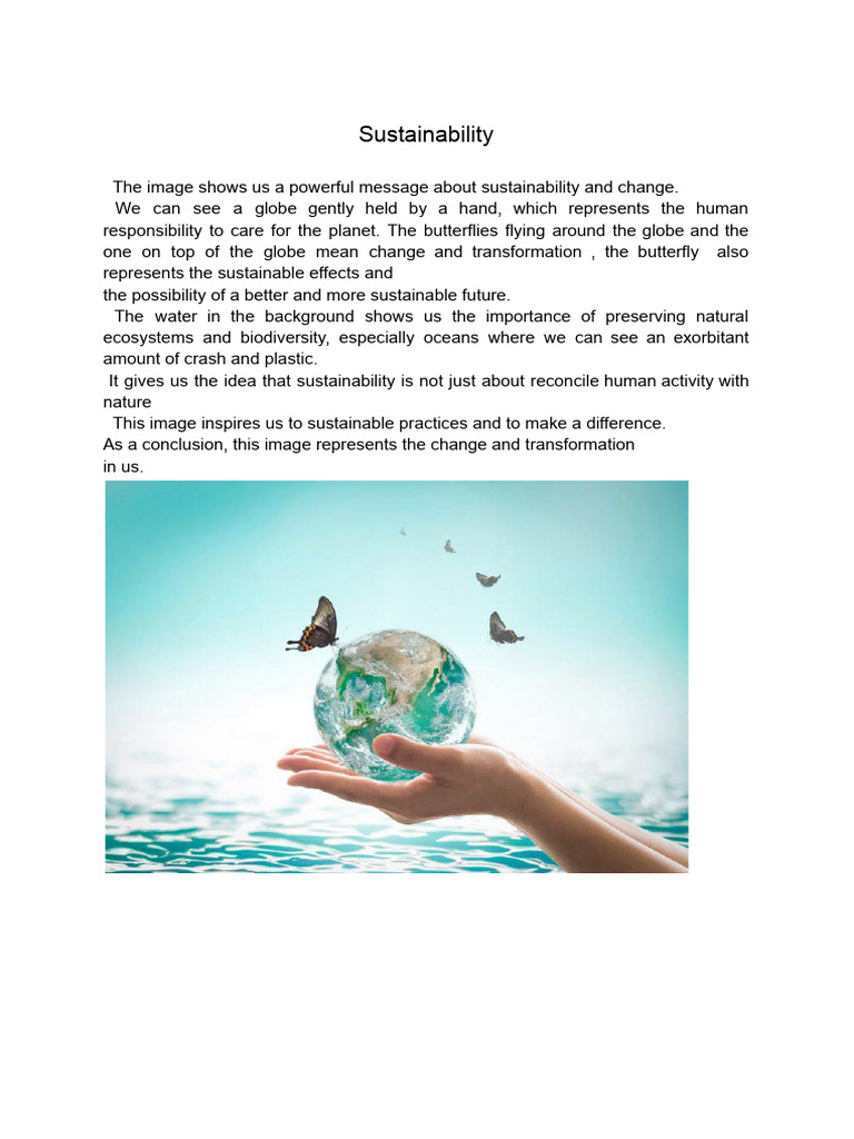 Visualizing Sustainability and Change | PDF