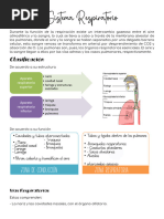 Nariz y Senos Paranasales | PDF | Nariz humana | Rinología