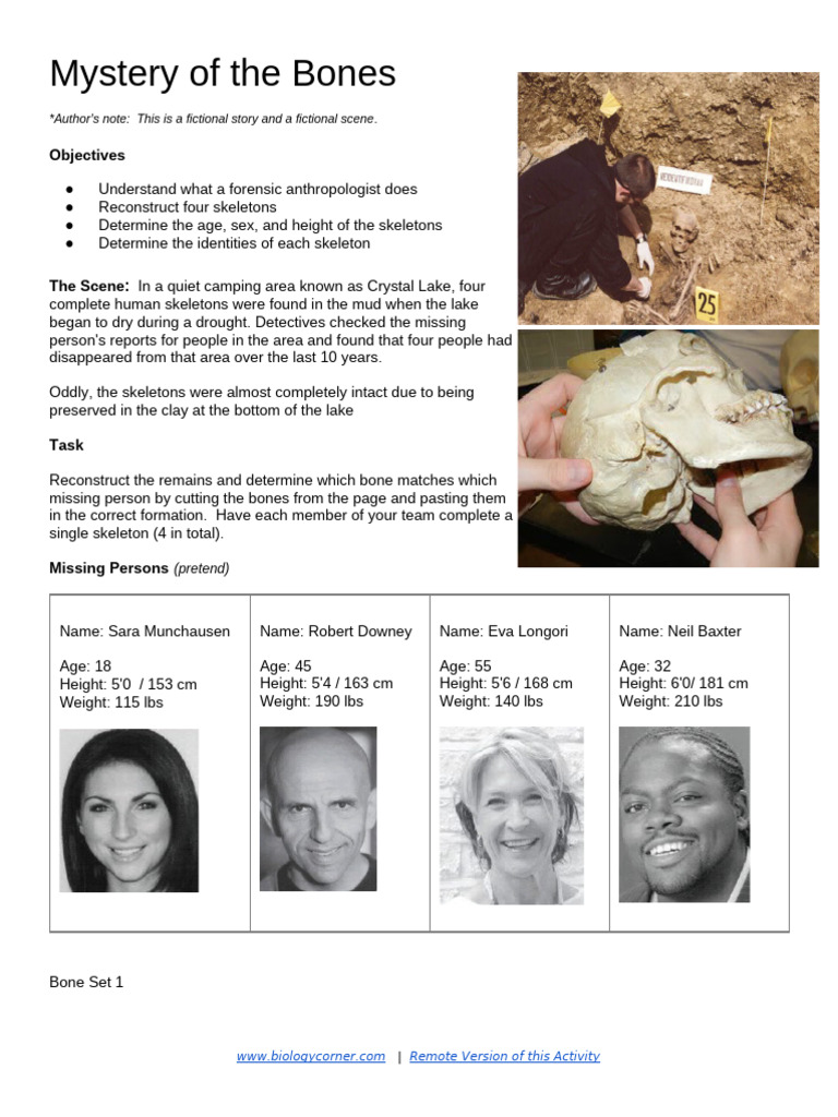 Mystery of The Bones (Paper) | PDF | Skull