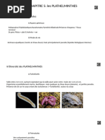Définition et classification des métazoaires | PDF | Anatomie | Biologie