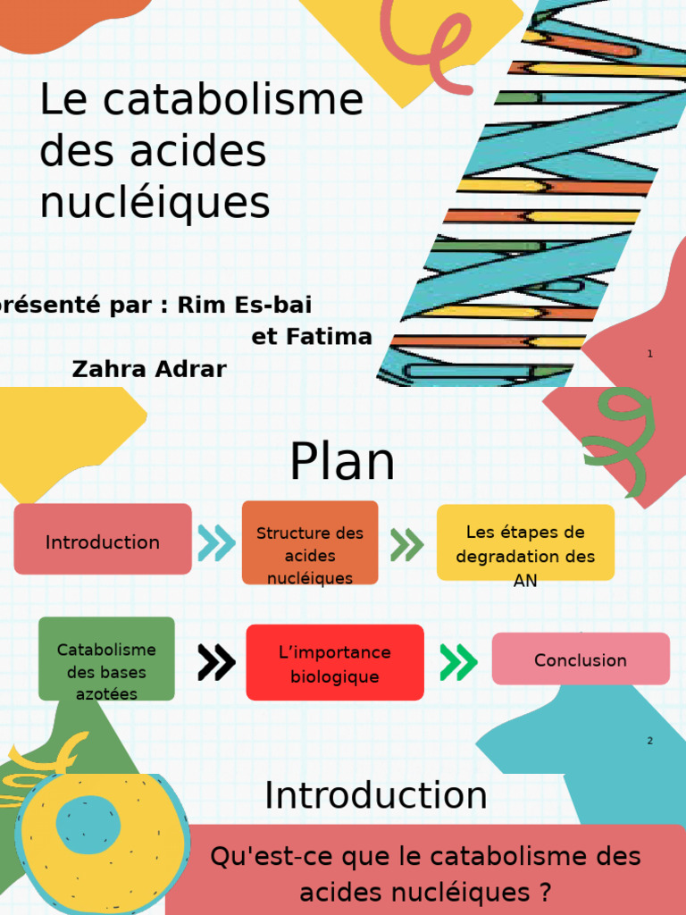 Catabolisme des acides nucléiques | PDF | Nucléotides | Acide nucléique