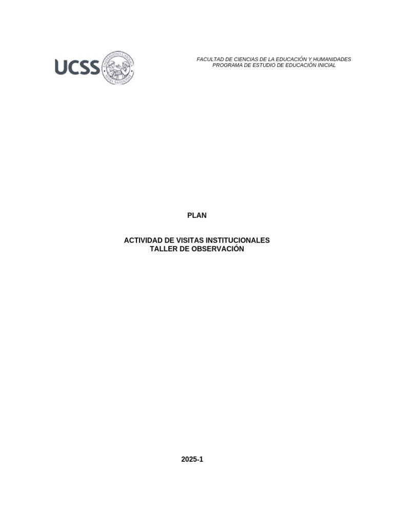Formato de Plan de Actividad | PDF
