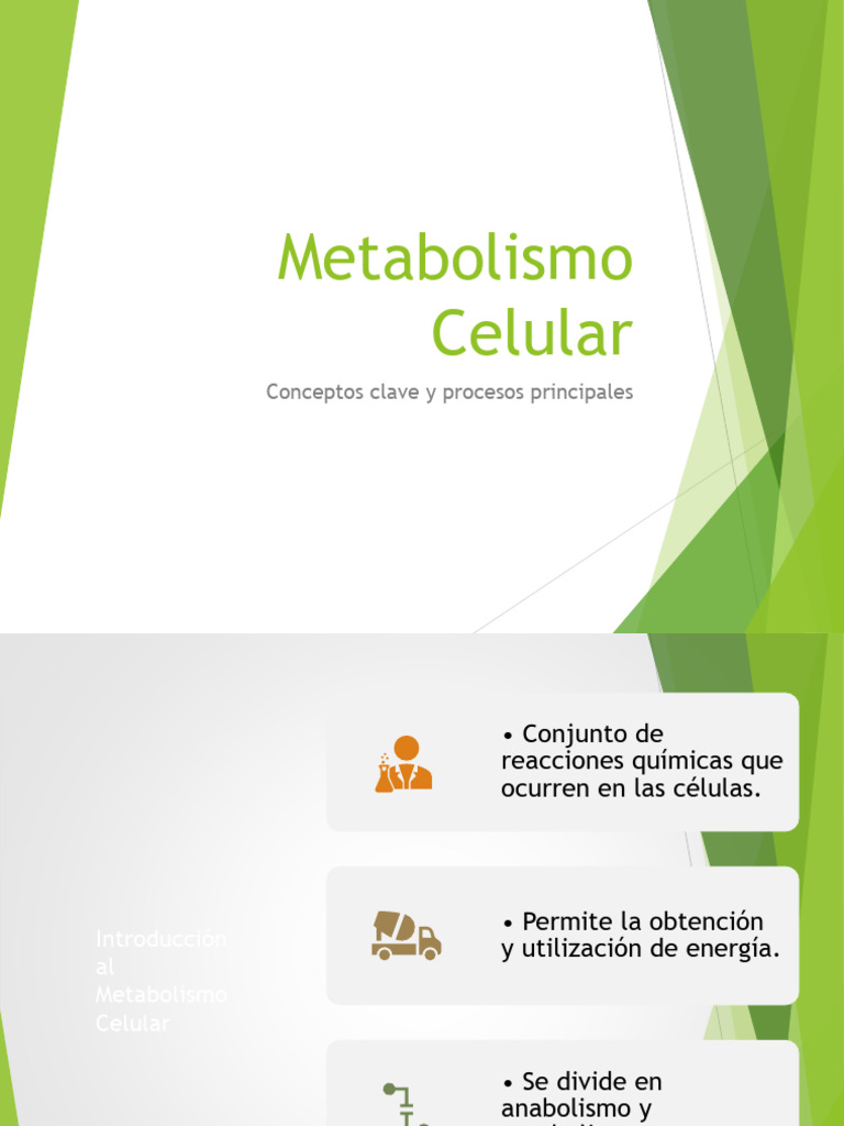 CLASE 4 Metabolismo Celular | PDF