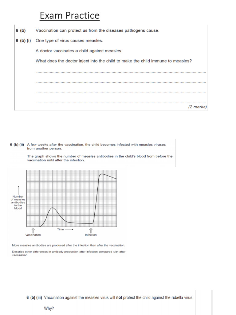 Exam Practice - 2 - 4 | PDF
