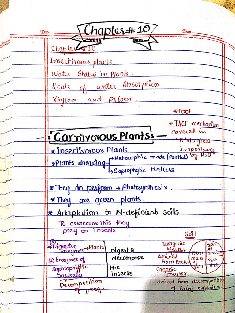 Bio Chapter 10 | PDF