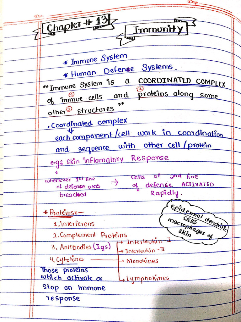 Bio Chapter Immunity | PDF