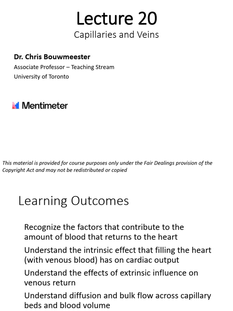 L20 - Veins and Capillaries | PDF | Vein | Heart