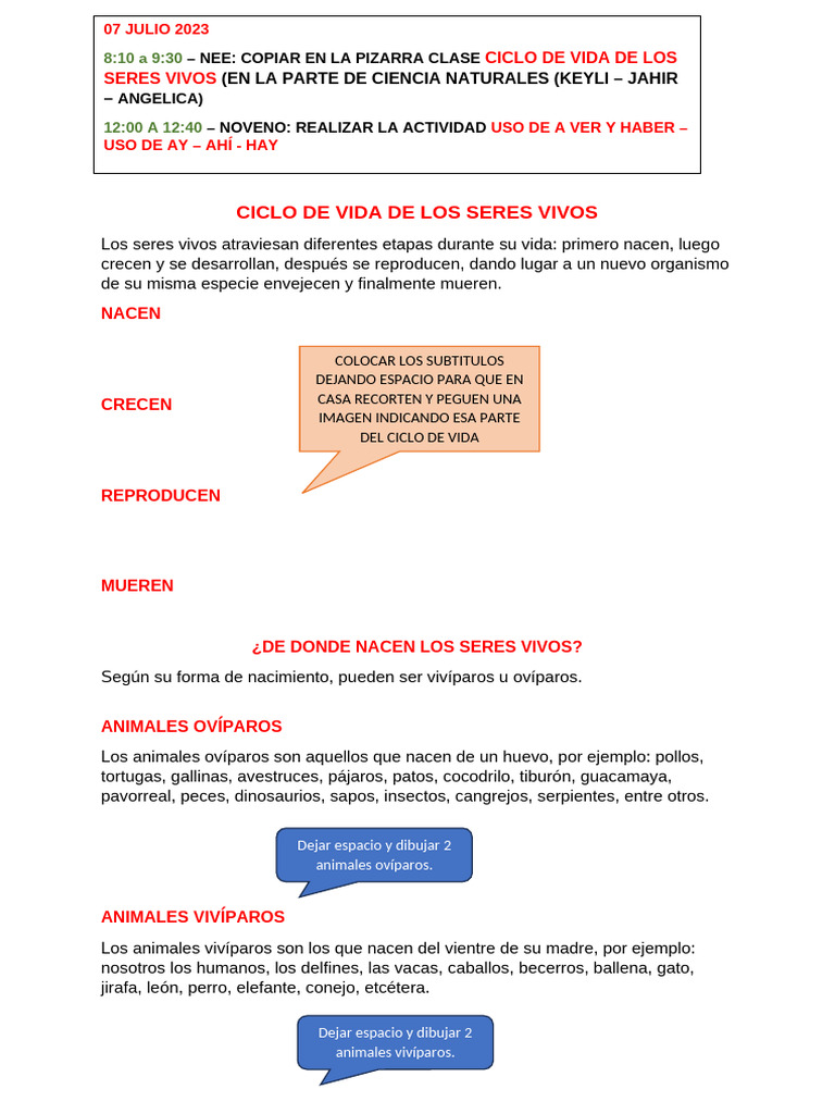 Ciclo de Vida de Los Seres Vivos | PDF