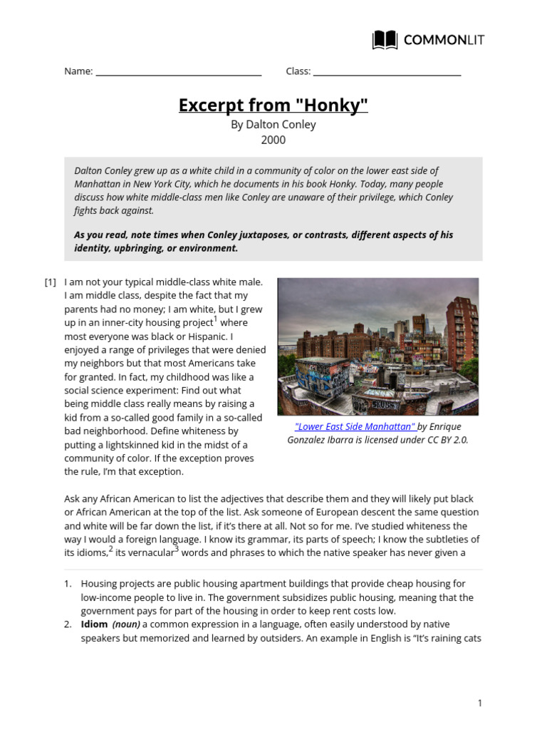 Excerpt From Quot Honky Quot - Student | PDF | Race (Human ...