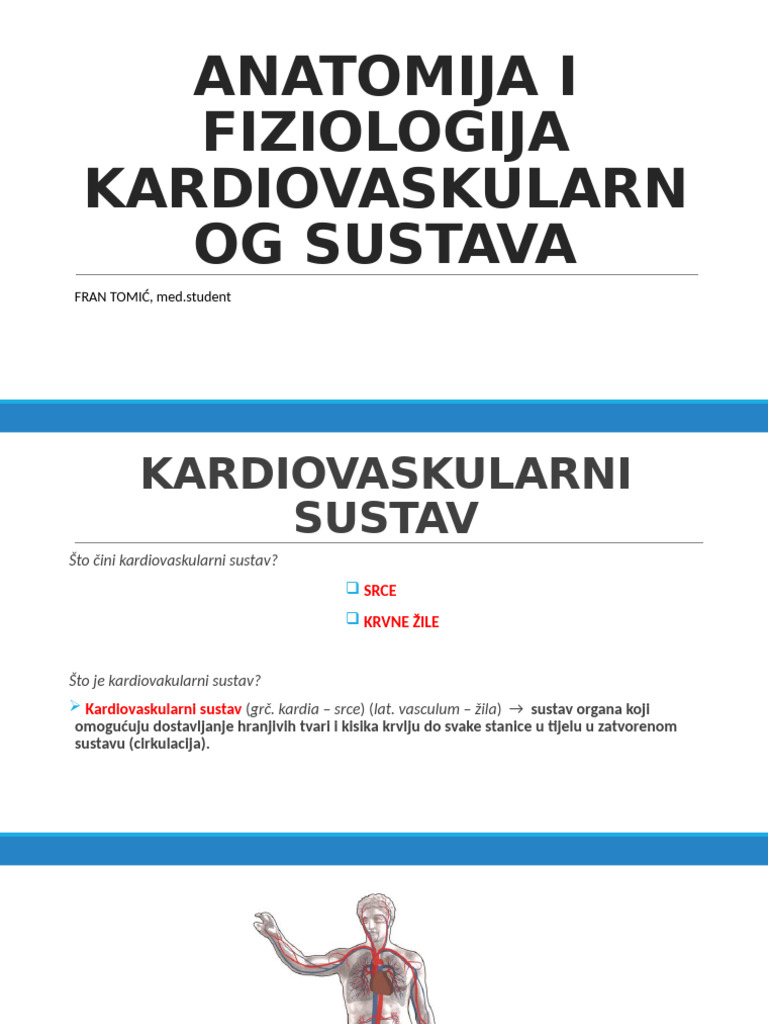 Anatomija I Fiziologija Kardiovaskularnog Sustava | PDF