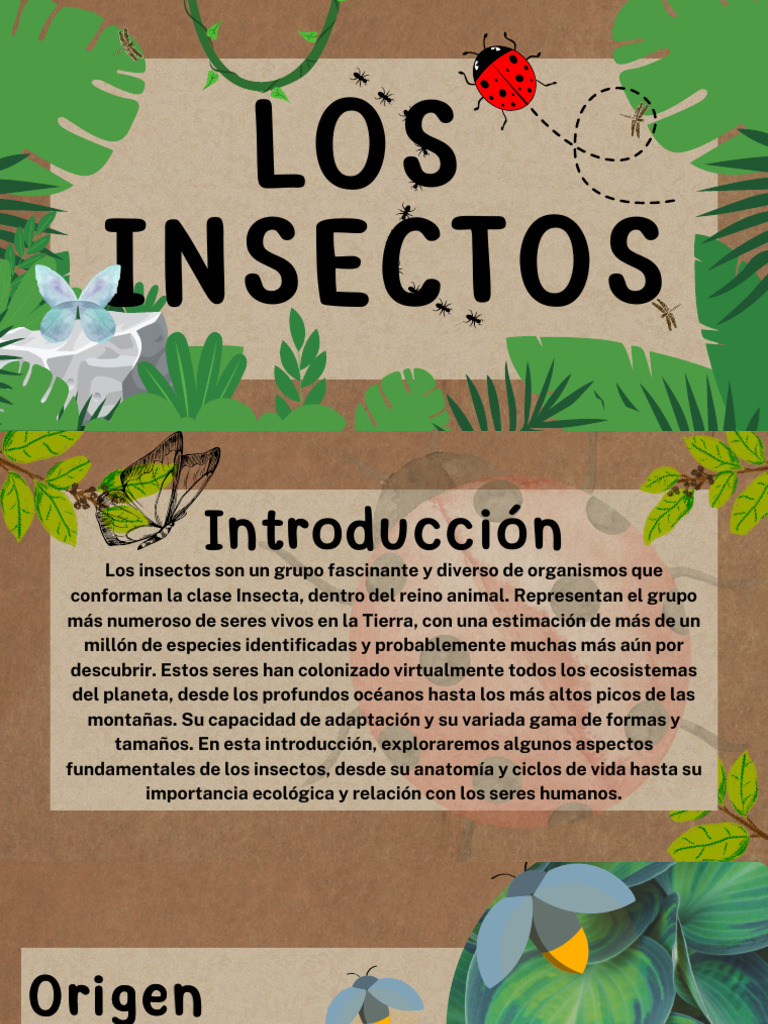 Los Insectos - 20230918 - 190249 - 0000 | PDF | Insectos | Zoología