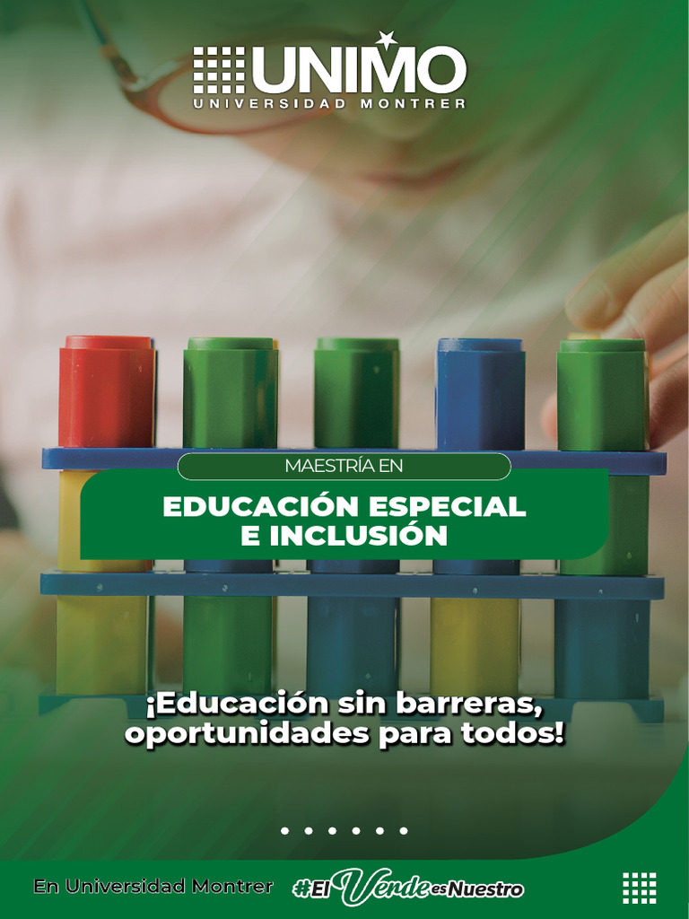 Maestría en Educación Especial e Inclusión | PDF | Inclusión (Educación ...
