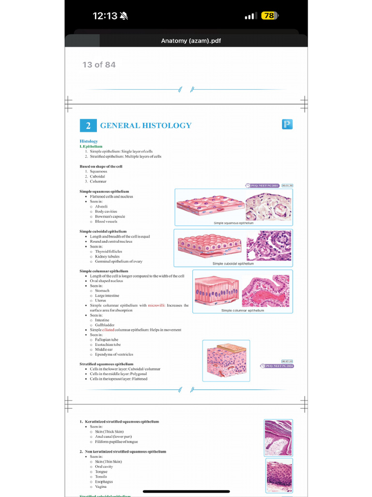 Anat | PDF