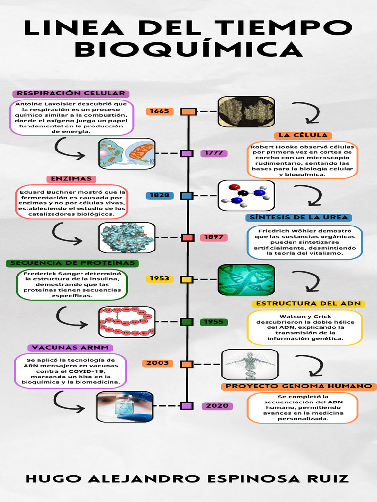 Línea del Tiempo Bioquímica | PDF | Bioquímica | Química