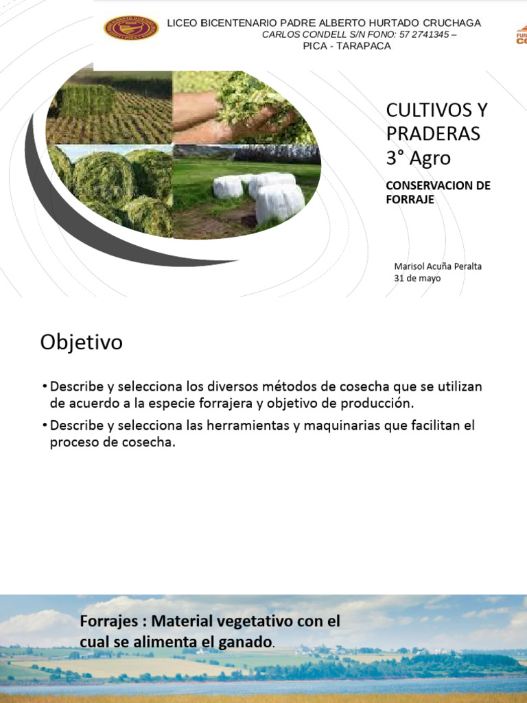 Conservación de Forraje | PDF