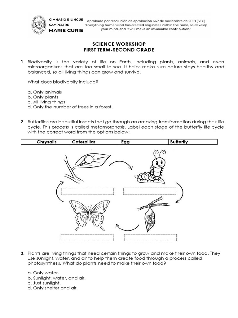 Science Workshop | PDF | Plants | Foods