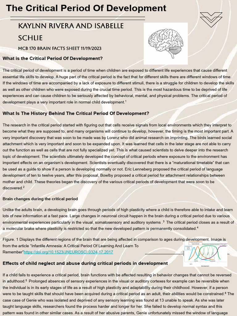Understanding Critical Periods in Development | PDF | Neuroplasticity ...