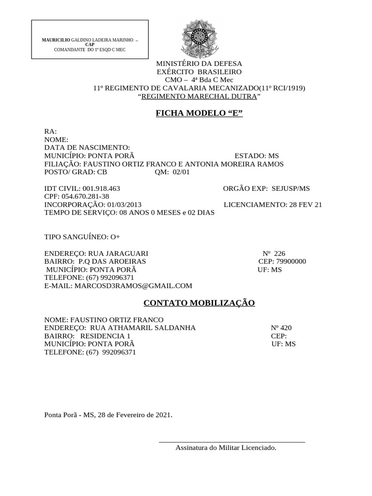 Modelo Ficha Modelo e | PDF