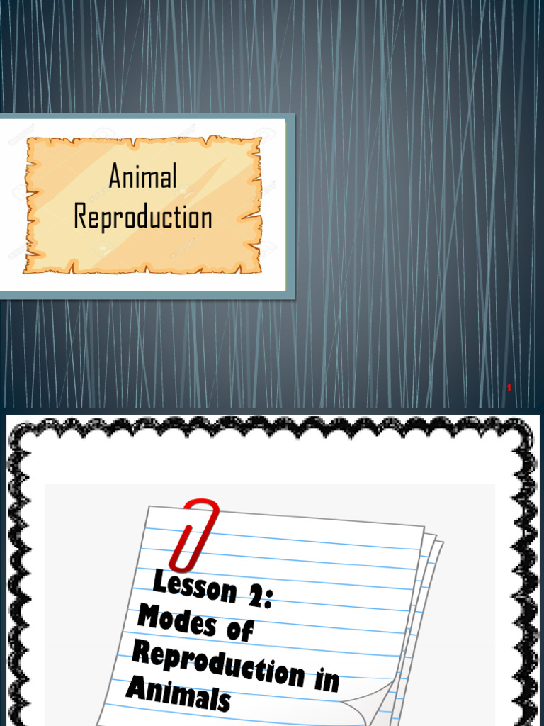 Science Animal Reproduction | PDF