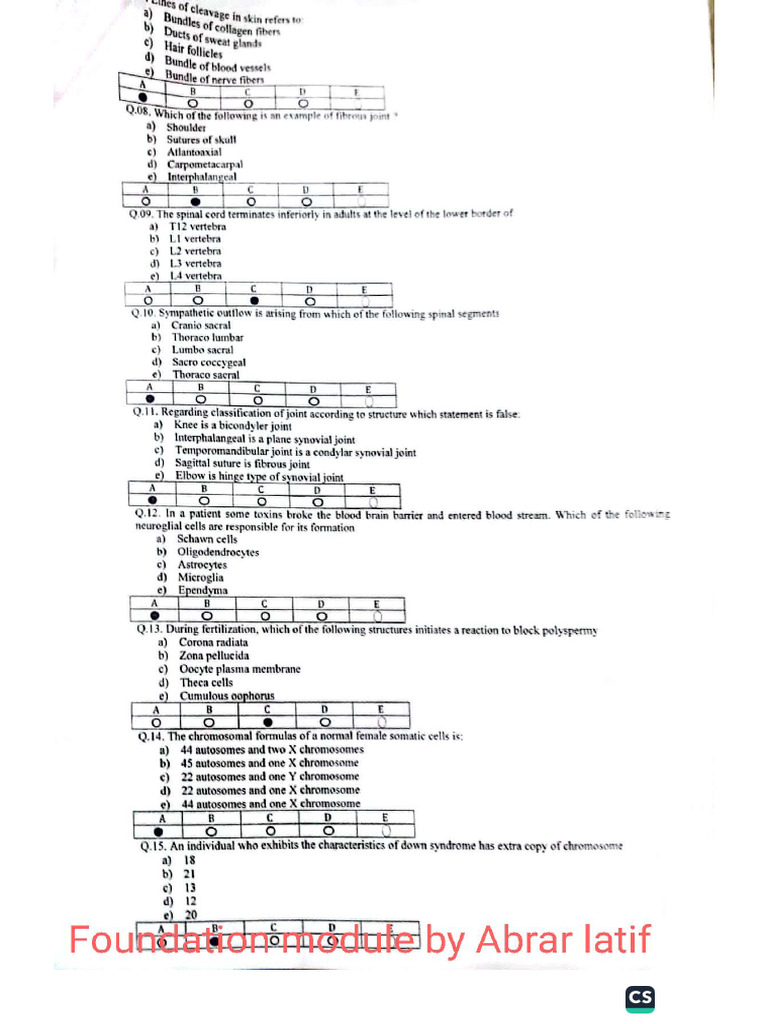 Foundation Module by Guardian | PDF