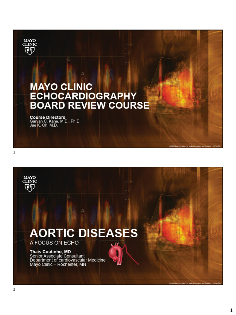 Mayo Echo 1 | PDF | Aorta | Cardiovascular Diseases
