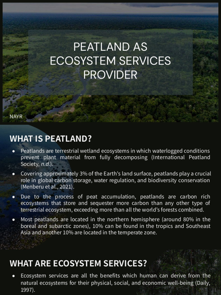 Peatland As Ecosystem Services Provider | PDF | Peat | Ecosystem